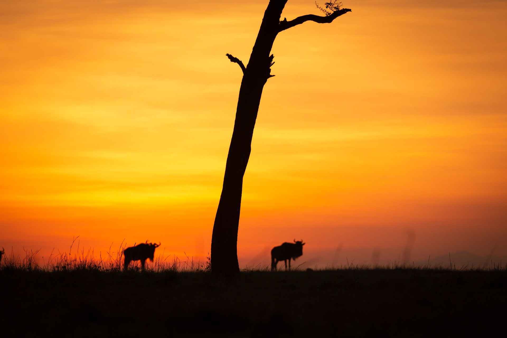 Công trình nghiên cứu của TS. Đỗ Thành Long đánh giá hiệu quả kinh tế ...